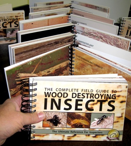 Complete Field Guide for Wood-Destroying Insects - InterNACHI